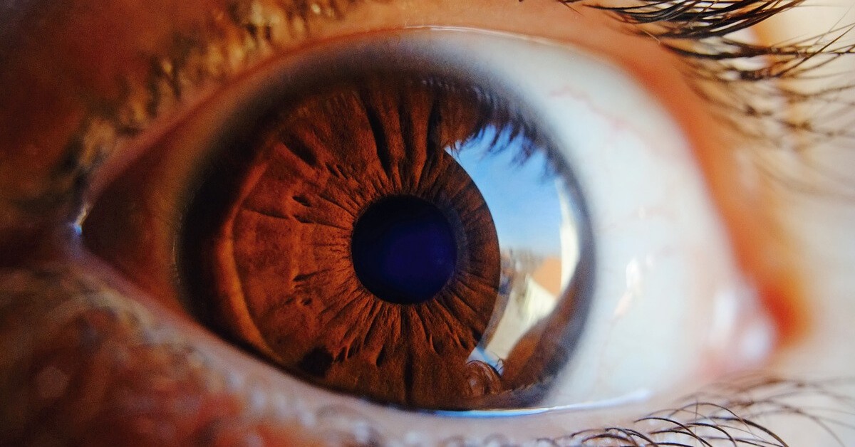 What Is A Visual Field Test Bard Optical what-is-a-visual-field-test-bard-optical